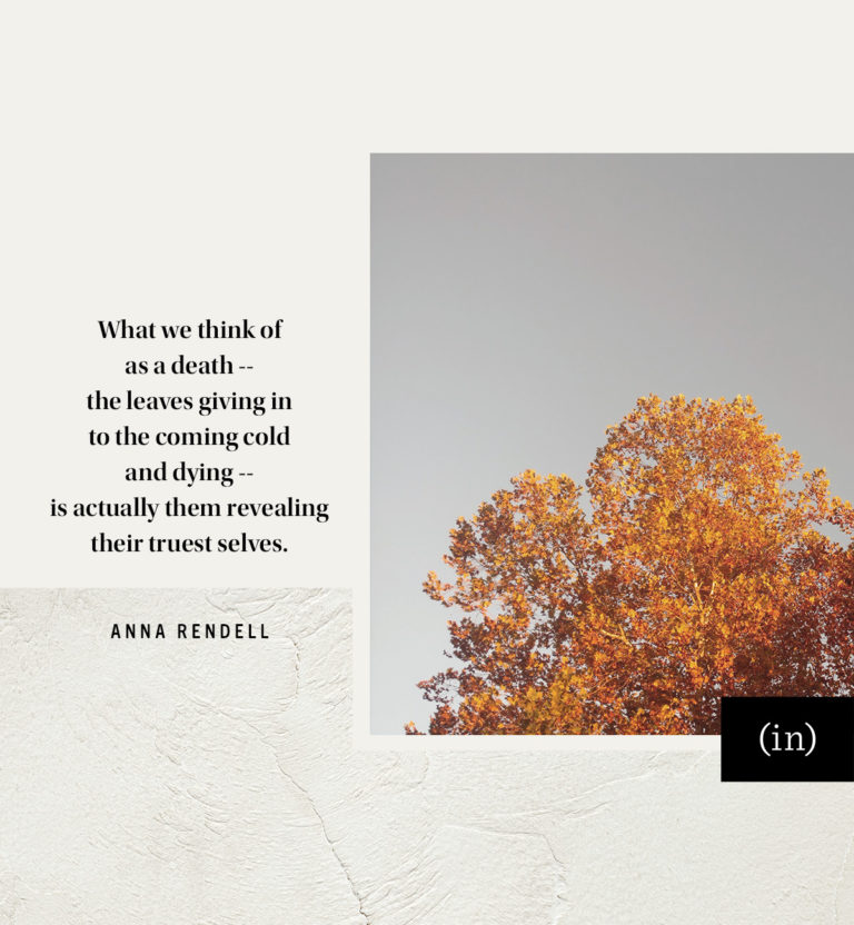 What We Can Learn from the Leaves – (in)courage