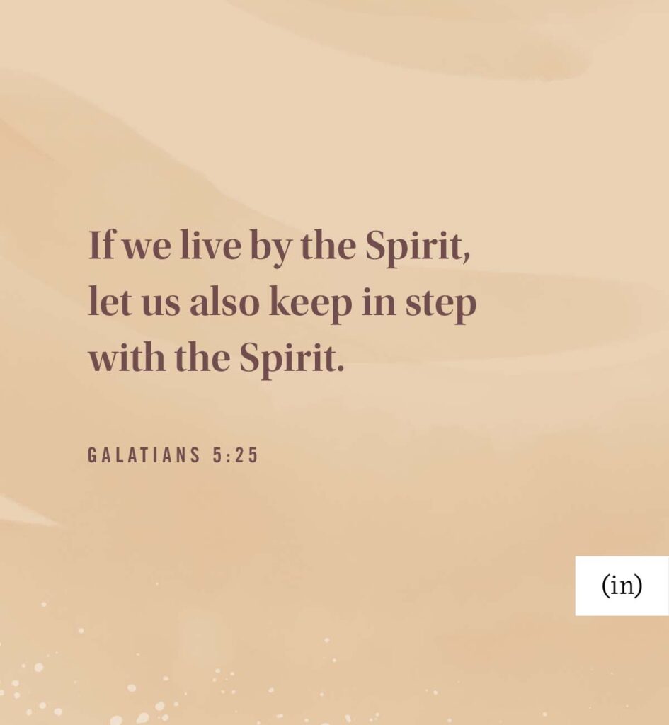 The Peace We Crave: How the Holy Spirit Transforms Our Turmoil – (in ...